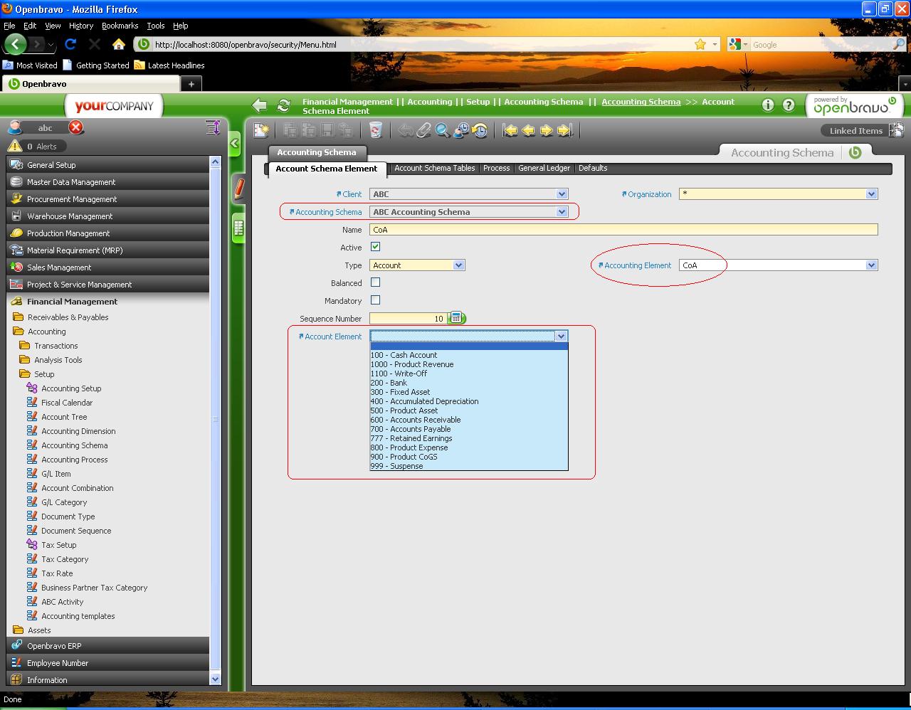 0012889: Sorting of accounts in Accounting Element field of Accounting ...